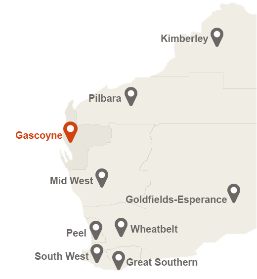 Regional Information | Western Australia State Budget